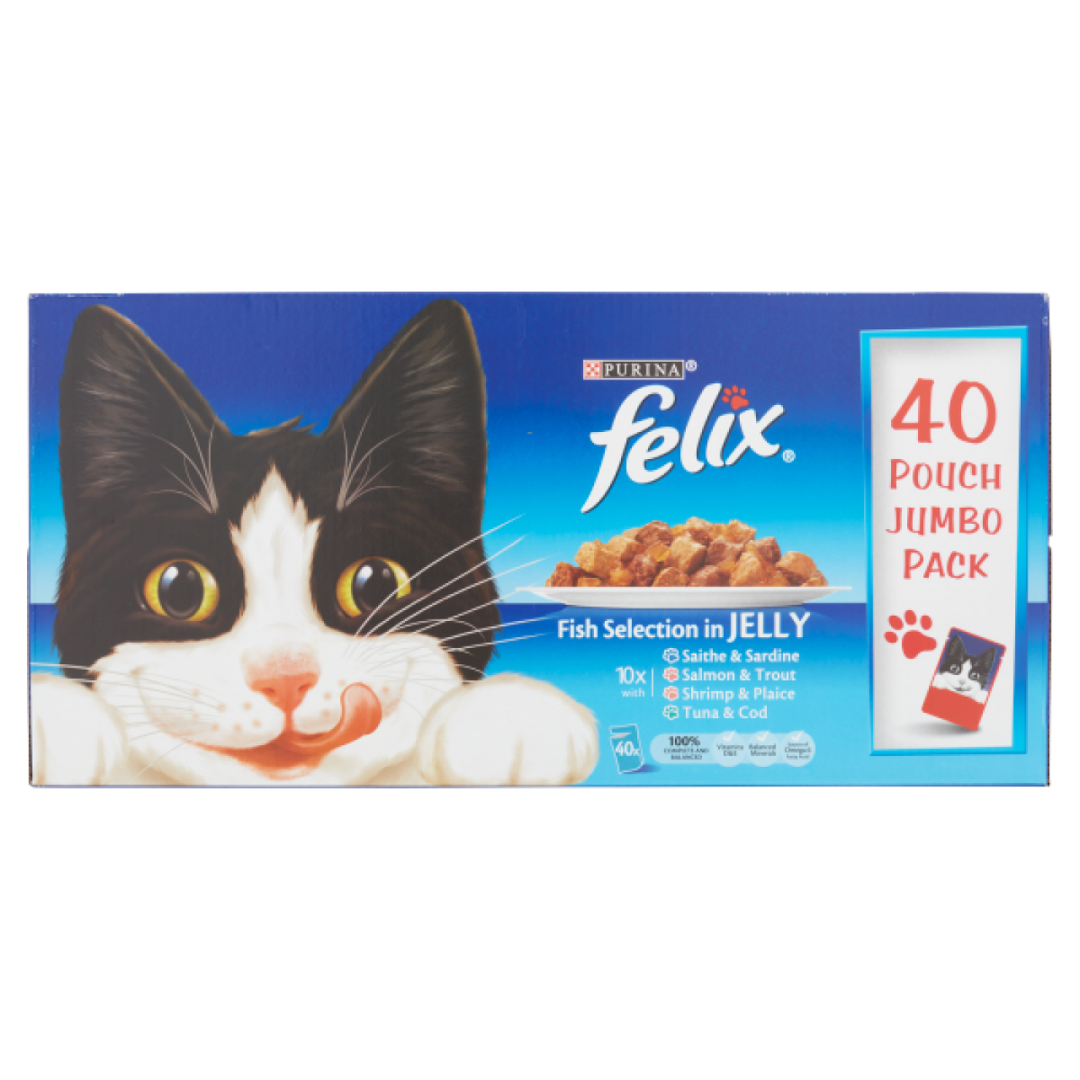 Felix Cij Mv Fish 40X100G N1 Xb - NAVSA INTERNATIONAL LIMITED